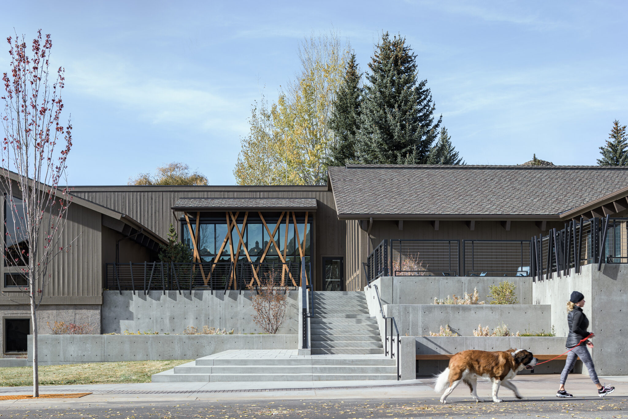 The Community Library - RATIO